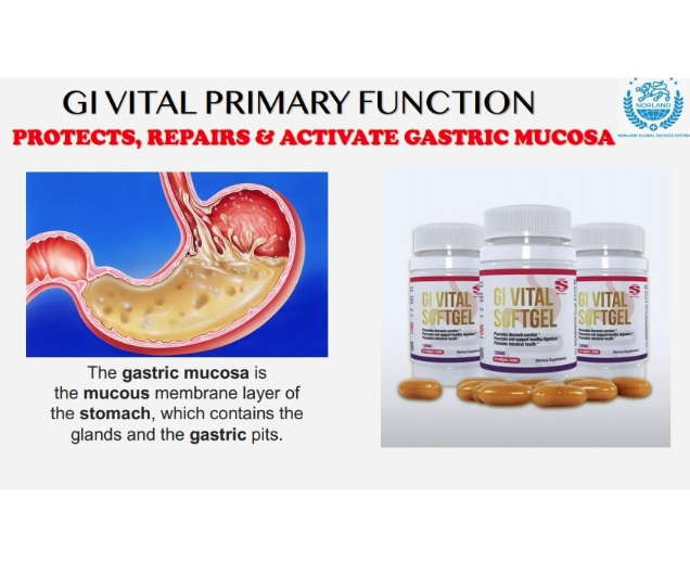Norland Gi Vital Softgel Solusi Untuk Semua Masalah Pencernaan ...