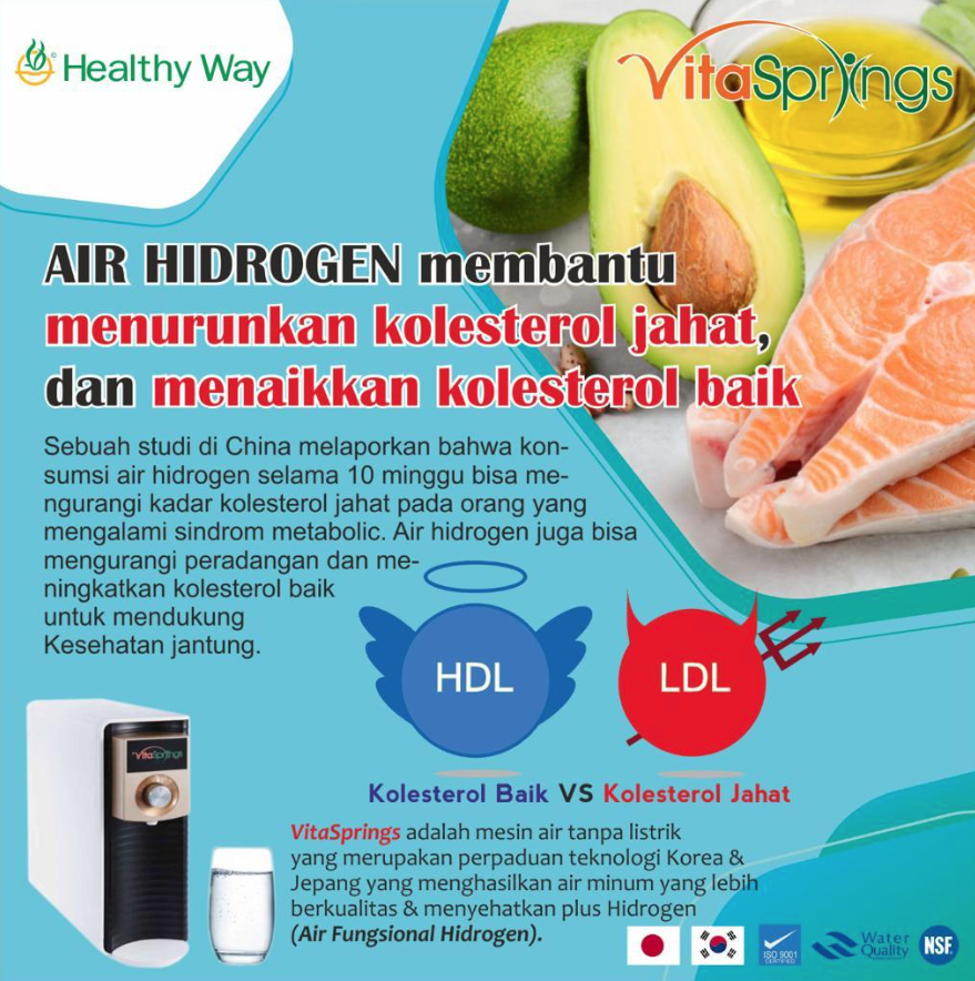 VitaSprings Mesin Air Hidrogen – ORIGINAL PRODUCT ASLI 100% Bisa COD